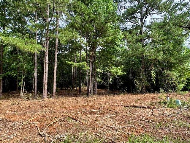 Willow Lake Dr Lot 413, Leesburg, GA 31763