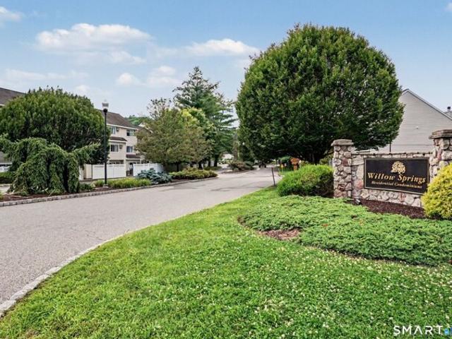 Willow Spgs Unit,new Milford, Home For Sale