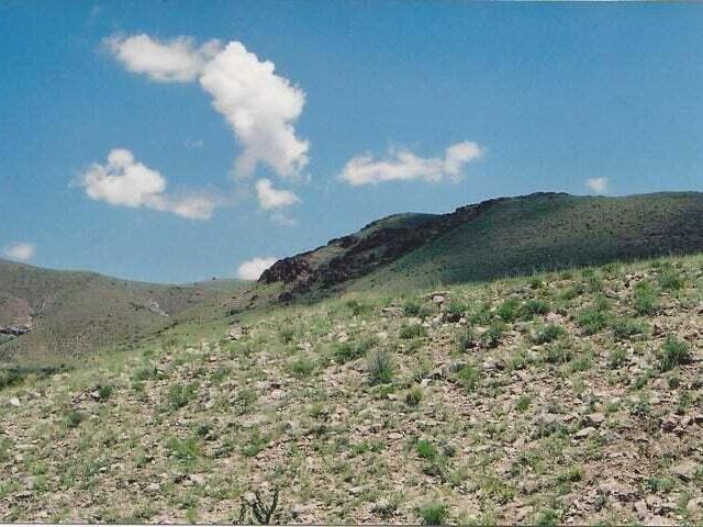 Willow springs ranch lot: 35