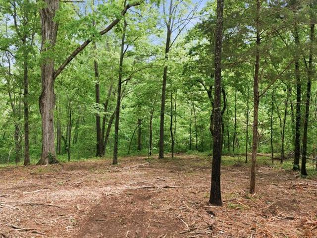 Willow Springs Rd, Lyles, TN 37098