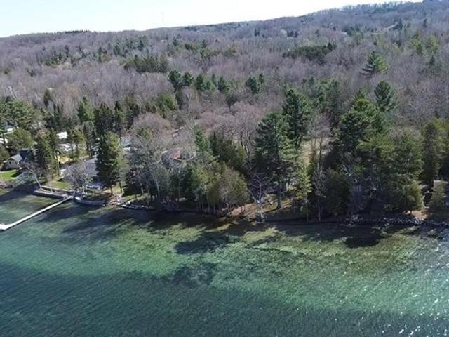 Willow St, Central Lake, MI 49622