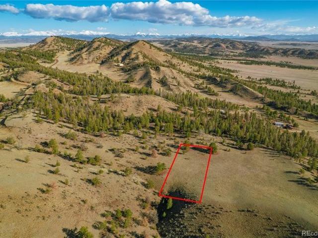 Willow St, Hartsel, CO 80449