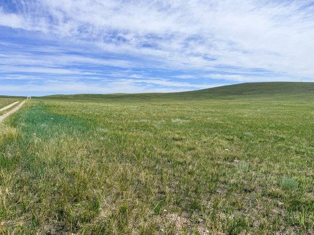 Willow Subdivision Crk Lot 146, Augusta, MT 59410