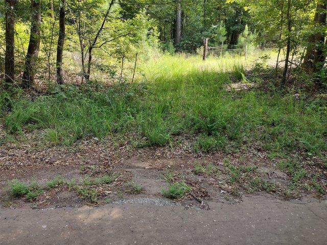 Willow Point Marina Rd, Avinger, TX 75668