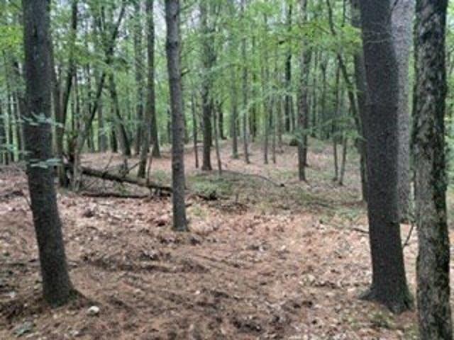 Willow Rd Lot B, Boxford, Plot For Sale