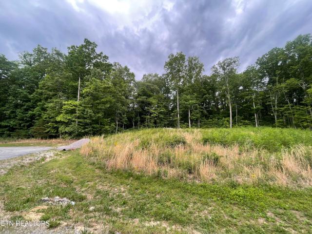 Willow Ridge Drive, Crossville, TN 38571