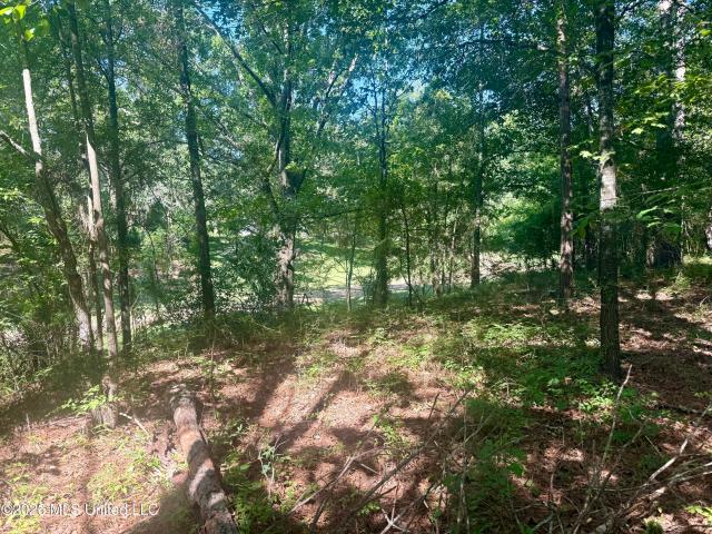 Willow Way, Flora, MS 39071