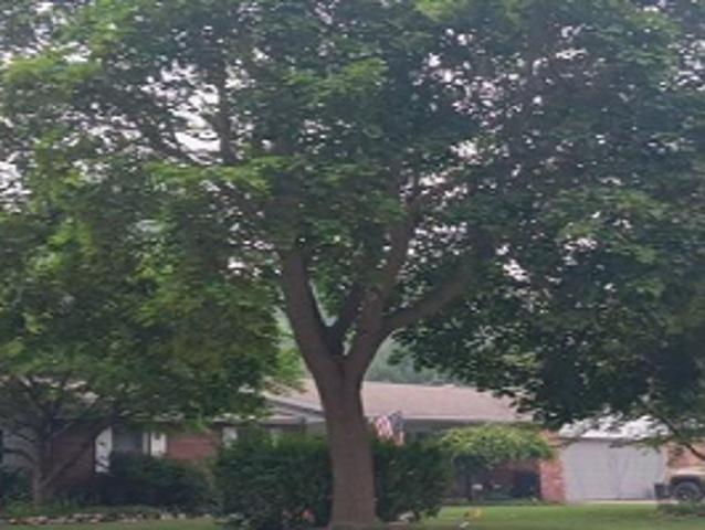 Willowbrook Dr