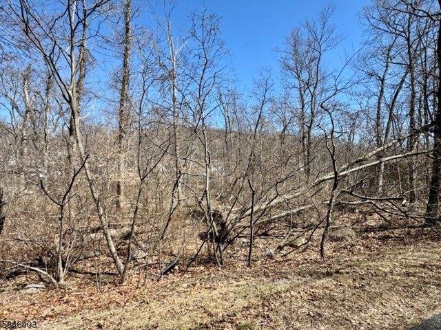Wills Ave, Hopatcong, Plot For Sale