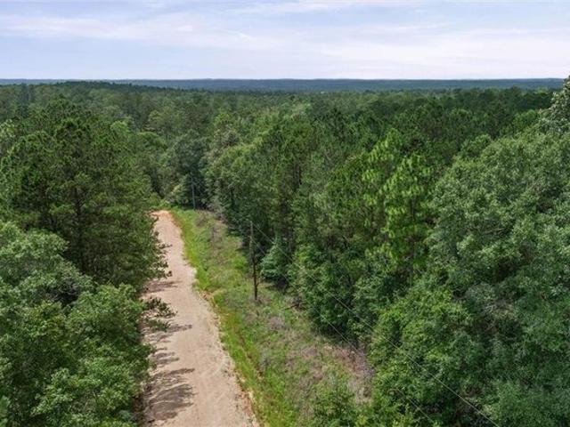 Wilmer, AL 36587