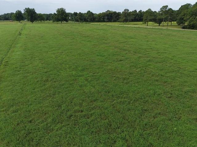 Wilmer Rd, Wilmer, AL 36587