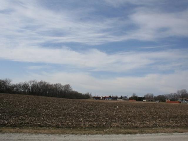 Wilmington Peotone Rd, Peotone, IL 60468