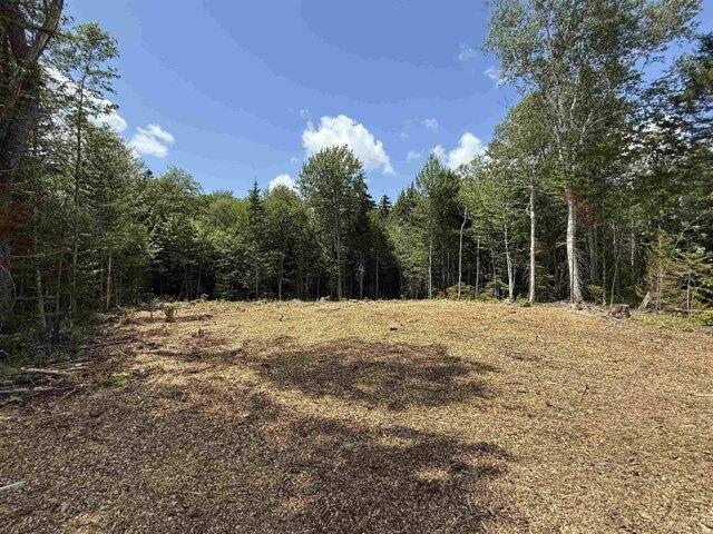 Wilmington VT 05363 LS103102481