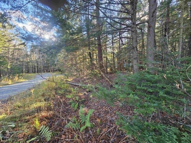 Wilmington VT 05363 102062770