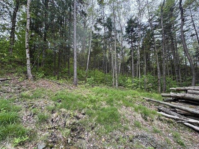 Wilmington VT 05363 102030017
