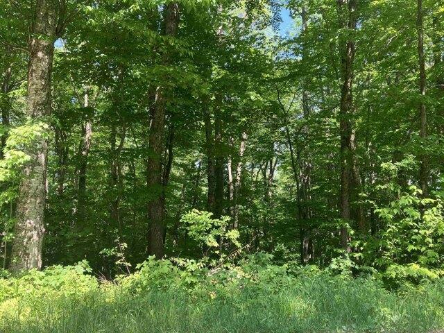 Wilmington VT 05363 102445662