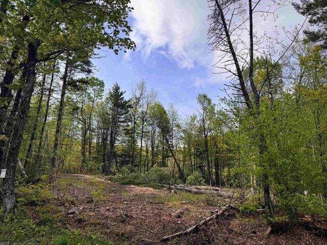 Wilmington VT 05363 102528744