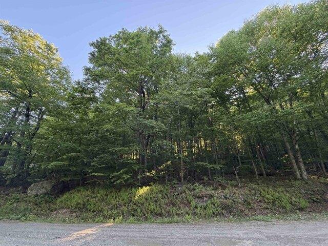 Wilmington VT 05363 104717021
