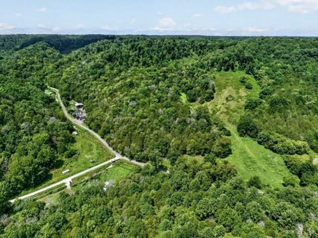 Wilmouth Creek Rd, Liberty, TN 37095