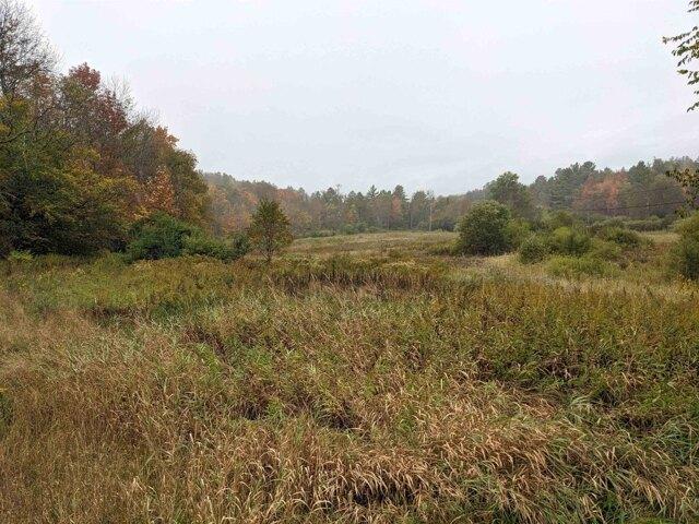 Wilmouth Hill Rd, Shrewsbury, Plot For Sale