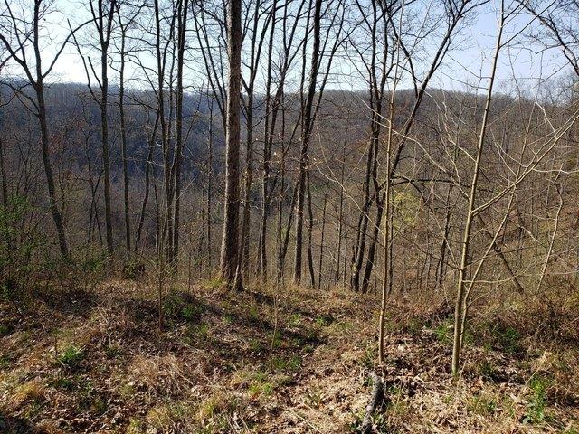 Wilsie Rd, Frametown, WV 26623
