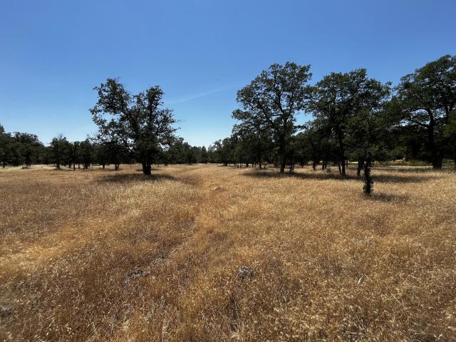 Wilson Hill Road