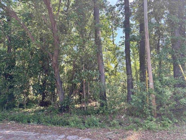 Wilson Ln Lot 7, Conway, SC 29526