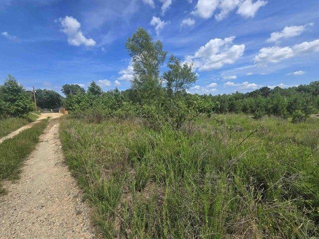 Wilson Lake Ln, Hot Springs, AR 71901