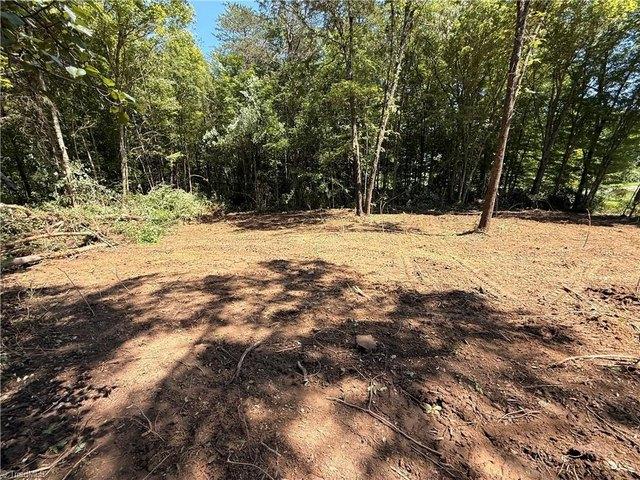 Wilson St, Lexington, NC 27292