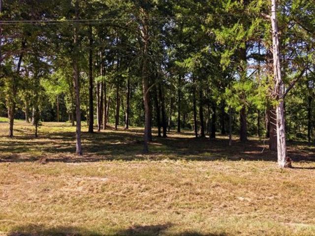 Wilson Rd Lot 42, Tyler, TX 75707