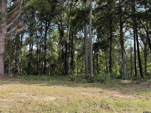 Wilson Rd Lot 43, Tyler, TX 75707