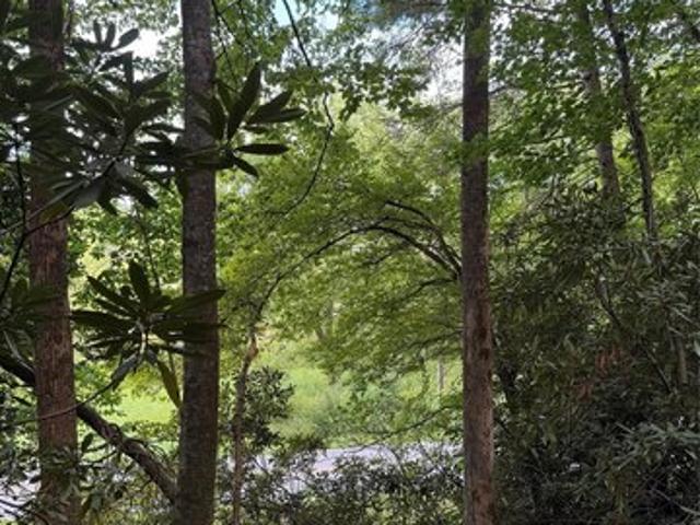 Wilson Rd, Pisgah Forest, NC 28768