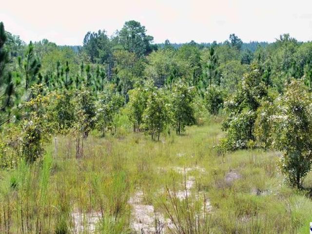 Wire Rd # 3, Patrick, SC 29584