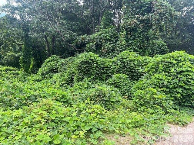 Wisconsin St, Spindale, NC 28160