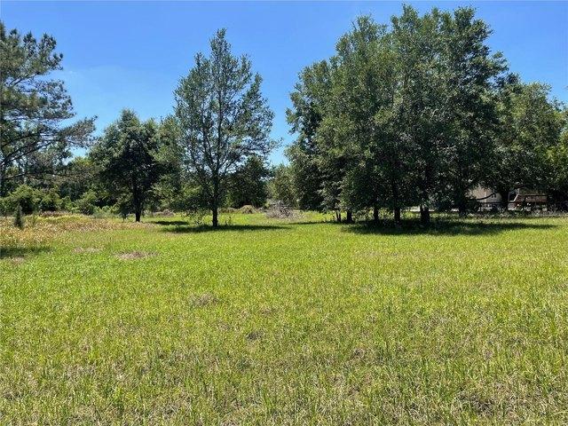 Wise Owl Rd, Brooksville, FL 34602