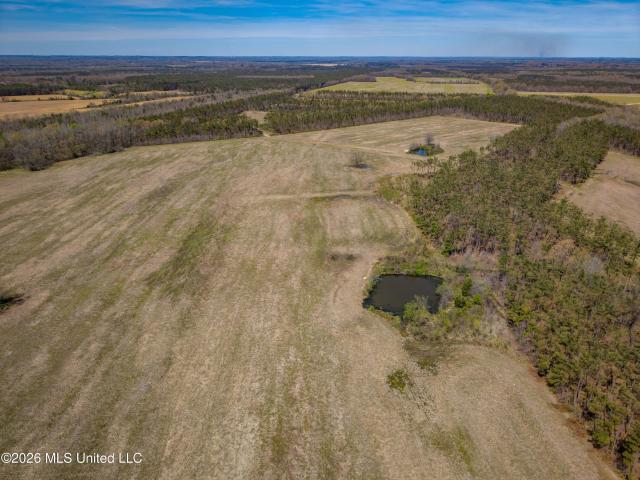 Wise Bend Road, Thaxton, MS 38871