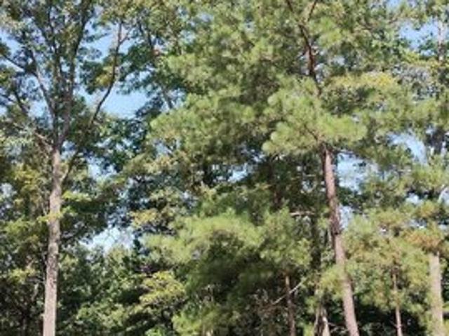 Wishing Well Ln Lot 1, McCalla, AL 35111