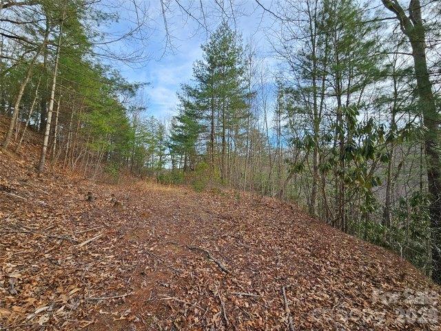 Wispy Willow Dr Unit 22T, Waynesville, NC 28785