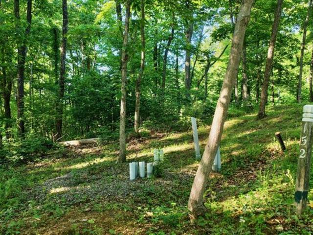 Withrow Lndg, Caldwell, WV 24925