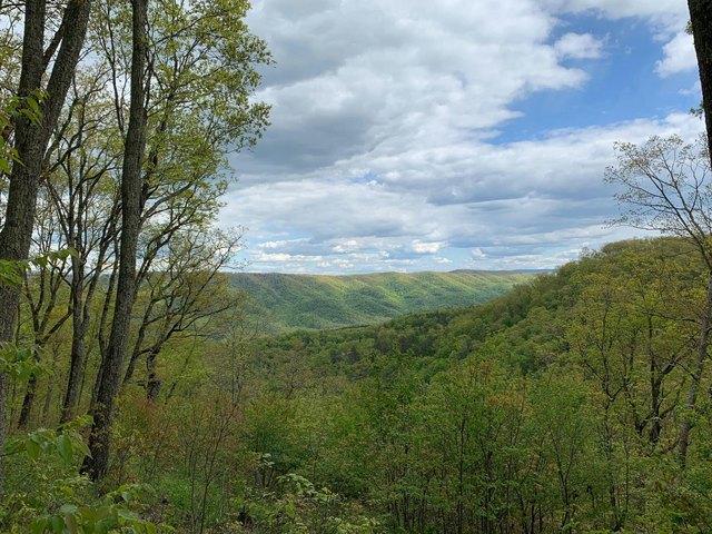 Withrow Lndg Lot 123, Caldwell, WV 24925