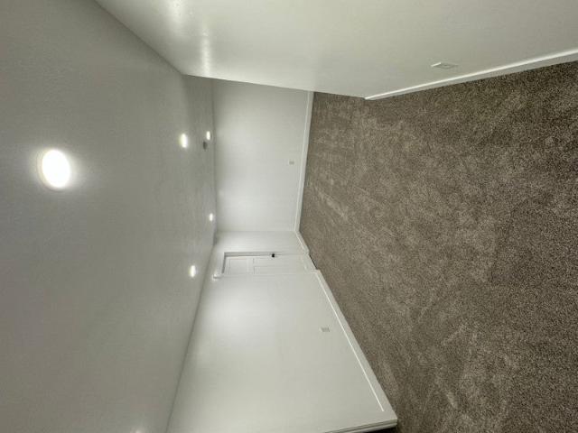 Womans Basement in Lehi