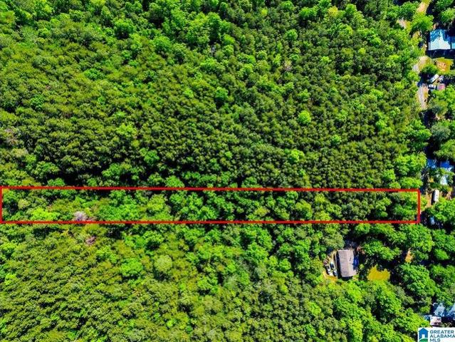 Wonder Ln Lot 0, Parrish, AL 35580