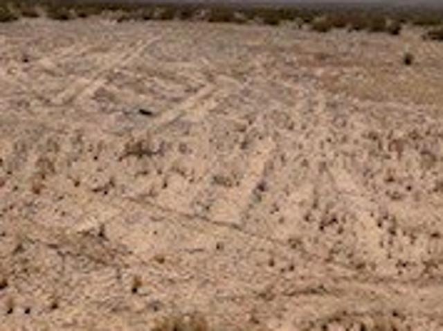 Wonder Vly, Twentynine Palms, CA 92277