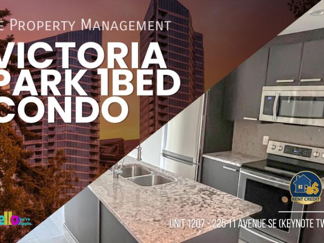 WONDERFUL 1 BED/ 1 BATH CONDO IN THE HEART OF DOWNTOWN