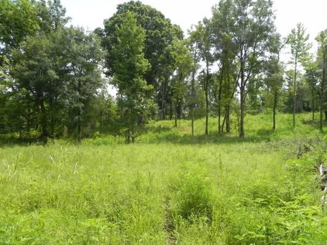Wonderful land PERFECT for all YOUR Interests for sale in Nesbit, Mississippi