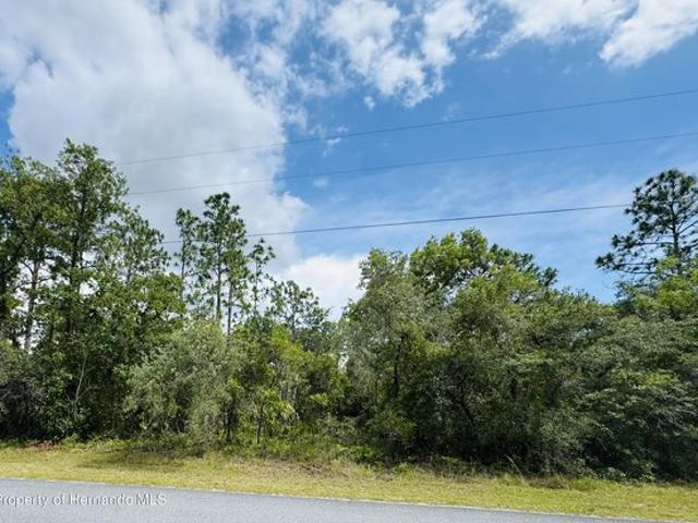 Wood Owl Ave Lot 4, Weeki Wachee, FL 34614