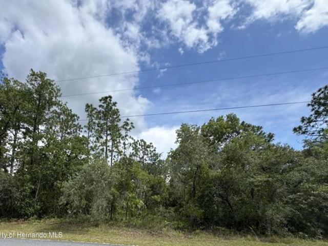 Wood Owl Ave Lot 5, Weeki Wachee, FL 34614