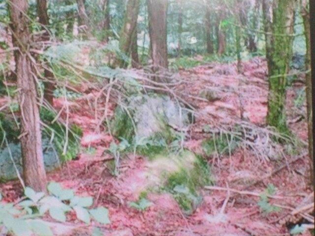 Wood Lot Lane, Stoddard, Plot For Sale