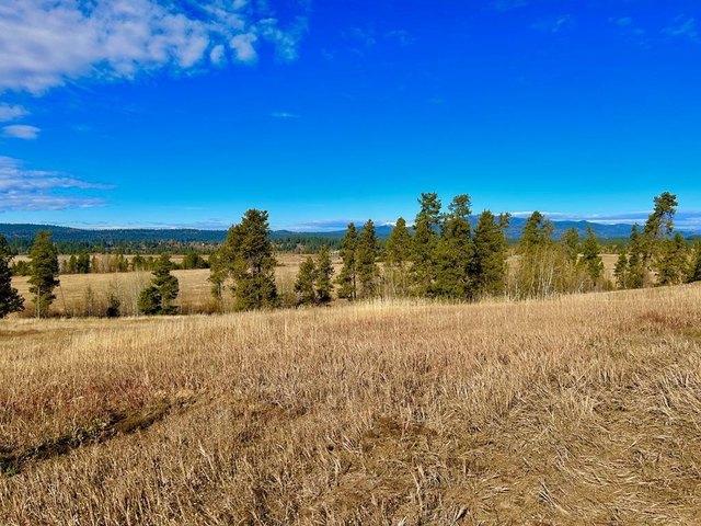 Wood Run Trl Lot 2, McCall, ID 83638