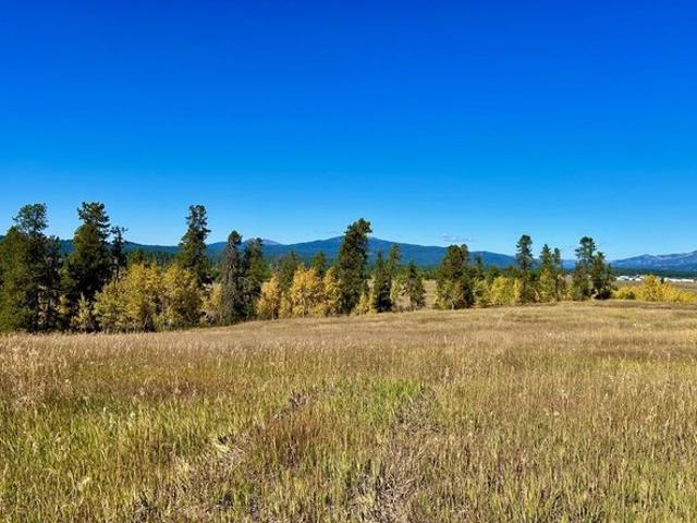 Wood Run Trl Lot 8, McCall, ID 83638